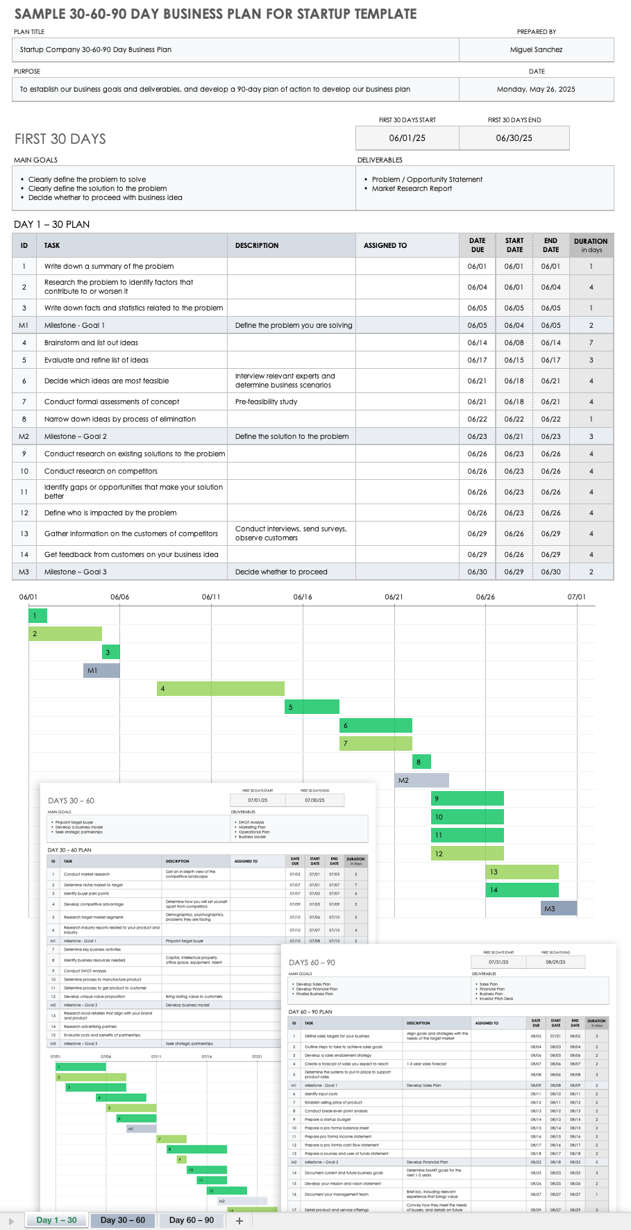 Business Analysis Project Plan Template