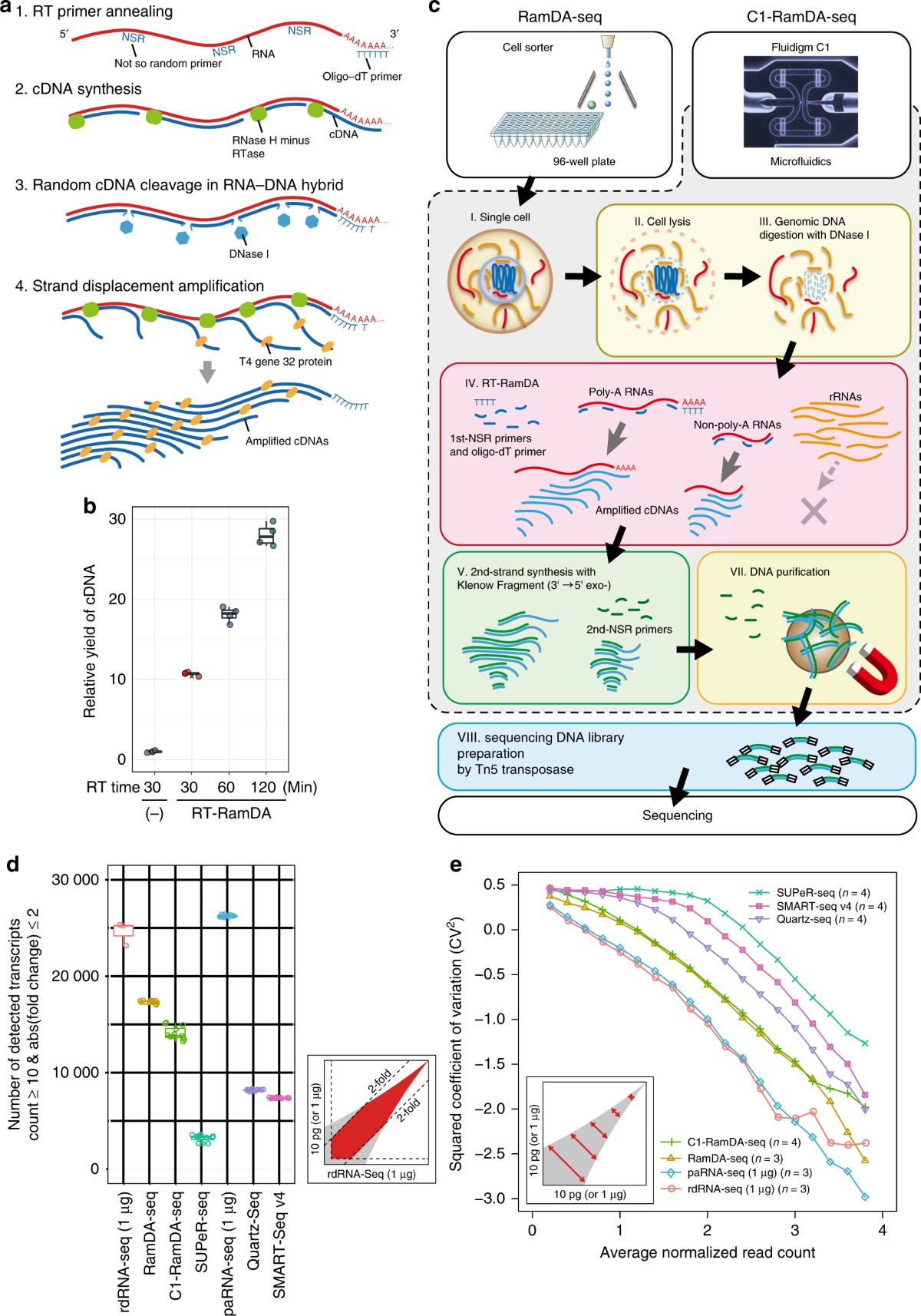 Kapa Library Quantification Data Analysis Template