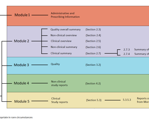 Integrated Summary of Safety Template