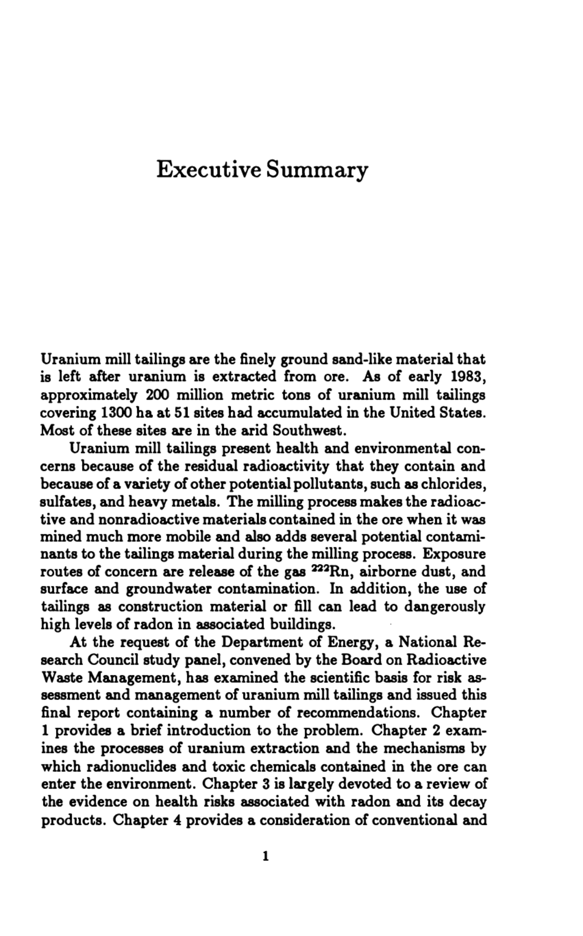 Risk Assessment Executive Summary Template