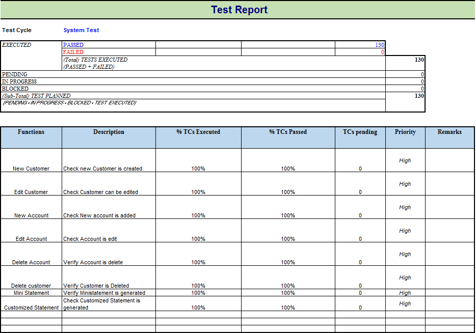Test Execution Summary Report Template