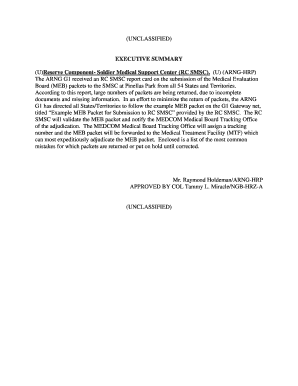 US Army Executive Summary Template