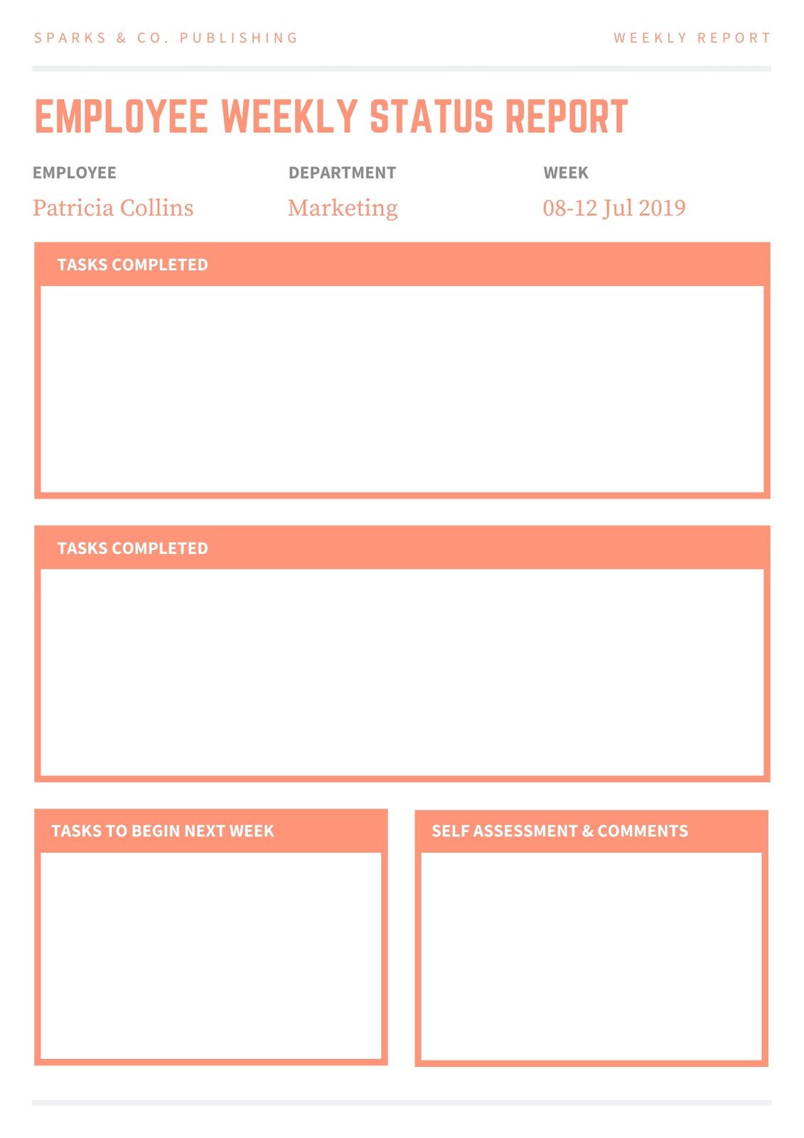 Weekly Work Summary Report Template
