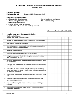 Executive Director Performance Evaluation Template