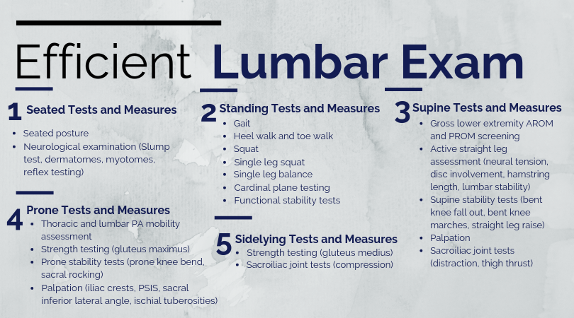 Physical Therapy Low Back Pain Evaluation Template