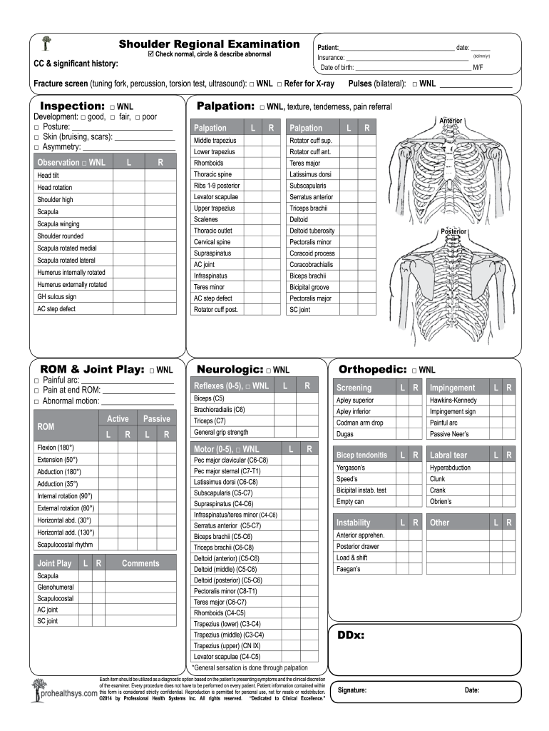 Physical Therapy Shoulder Evaluation Template