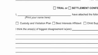 Pre Trial Brief Template
