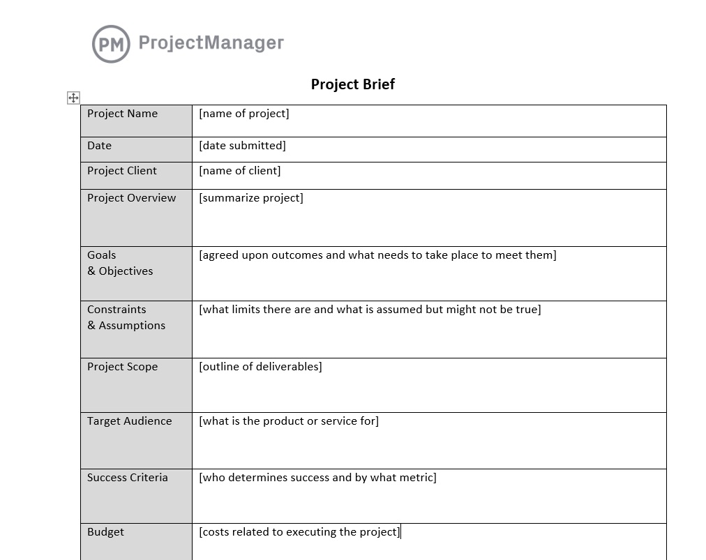 Research Project Brief Template