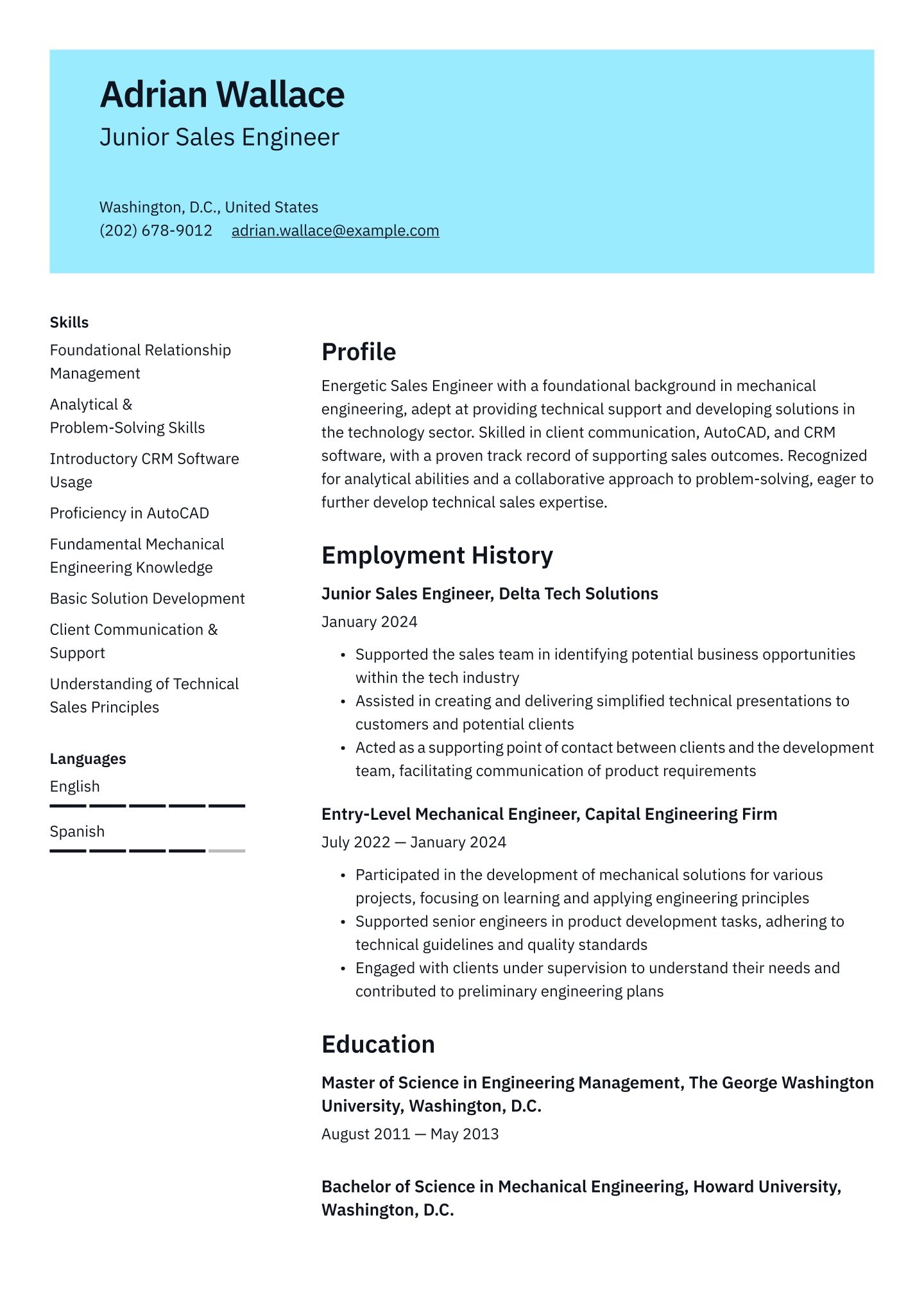 Sales Engineer Job Application Form Template