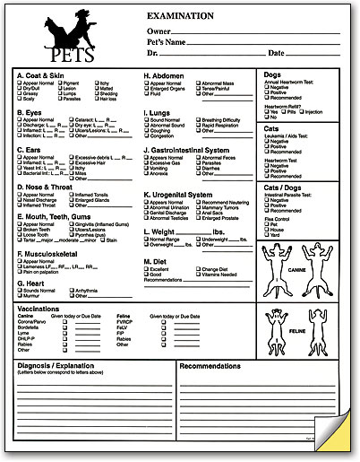 Veterinary Physical Exam Form Template